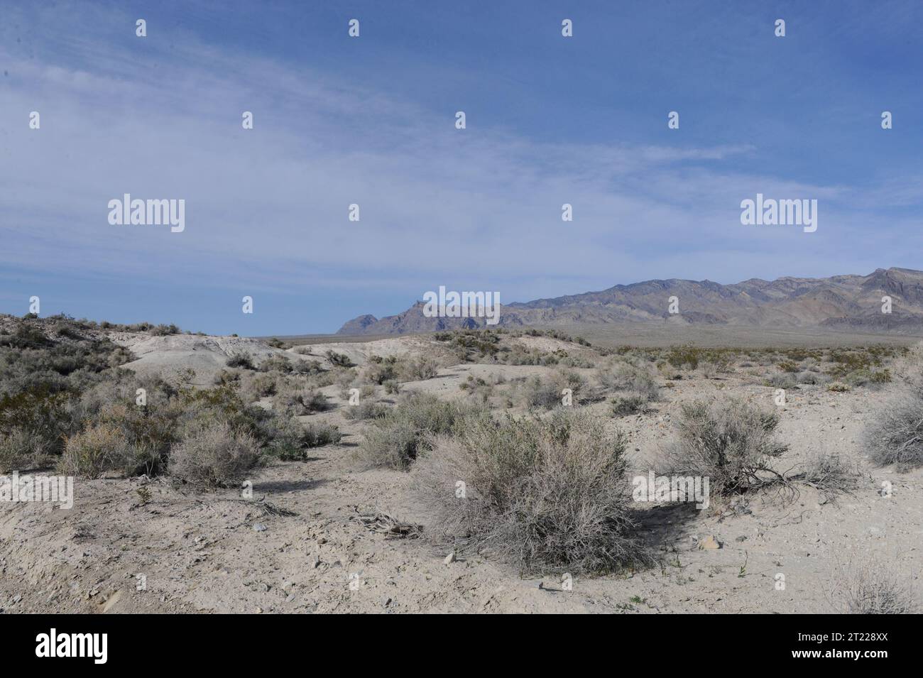 Image of the desert shrub habitat on the Desert National Wildlife ...