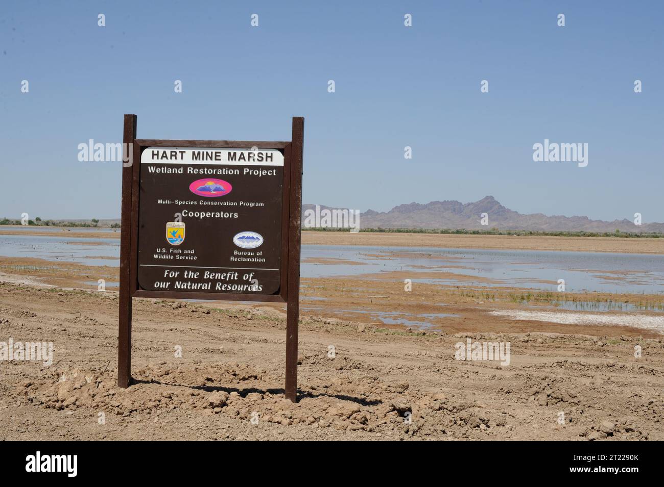 Hart mine marsh hi-res stock photography and images - Alamy
