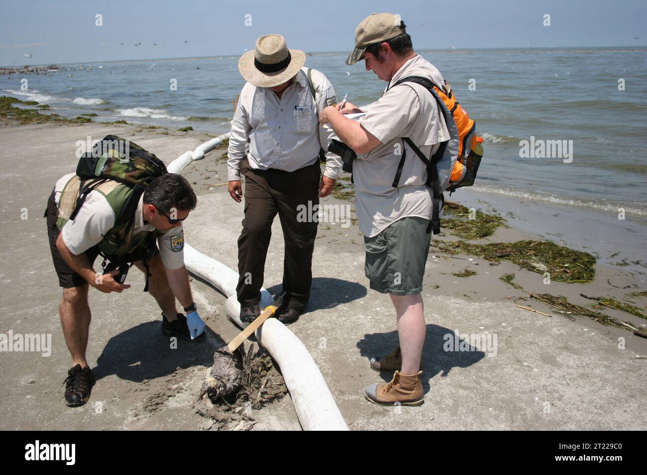 Walking On Dead Fish