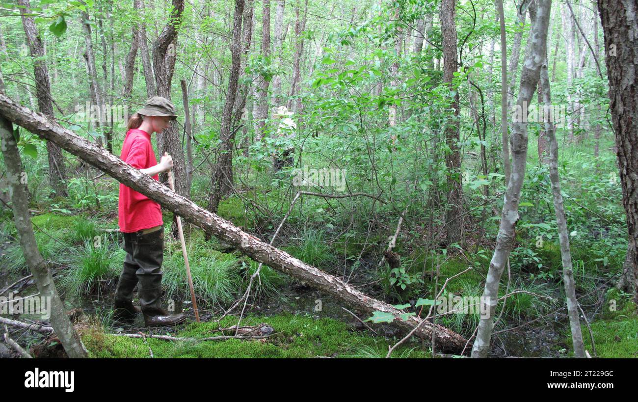 The bog turtle is the smallest turtle in North America. The species is ...