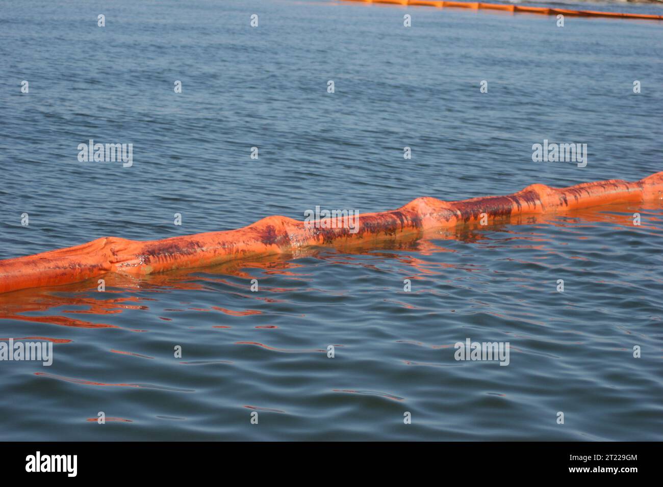 Oil residue is visible on a containment boom deployed at Breton ...