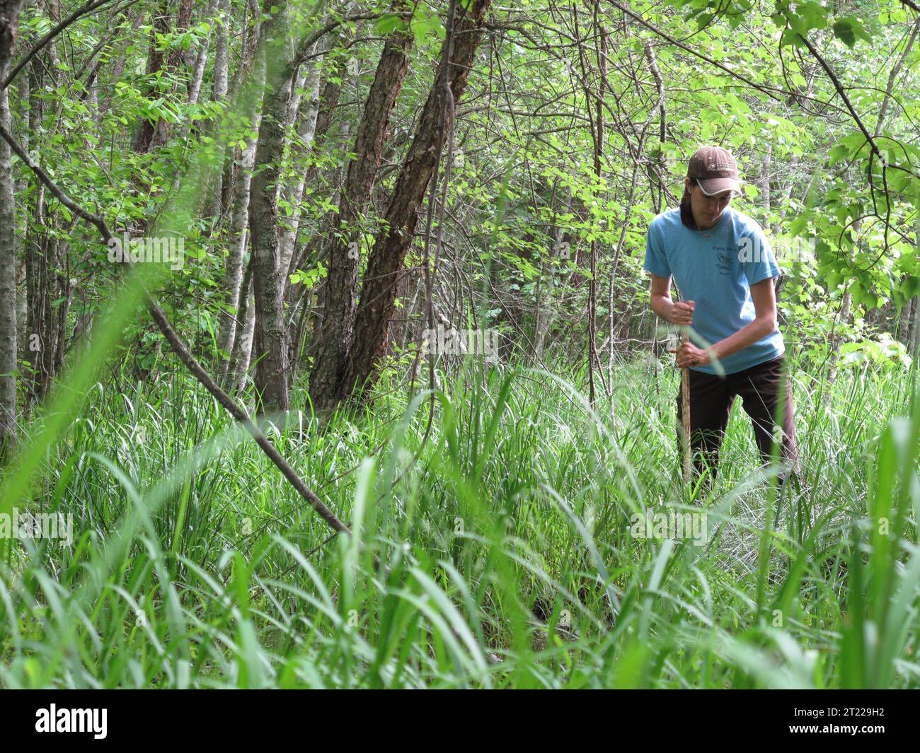 The bog turtle is the smallest turtle in North America. The species is ...