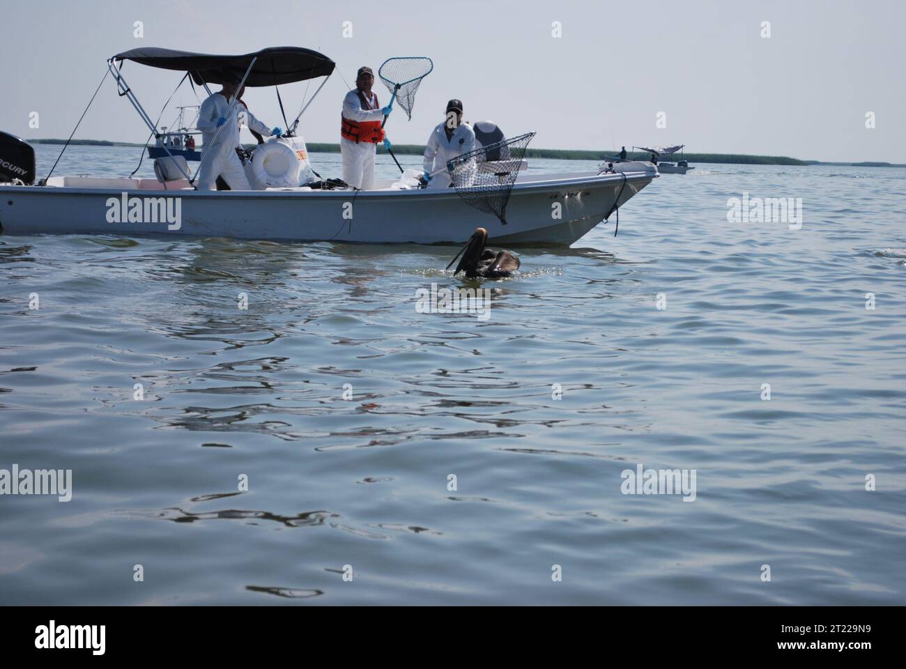 The U.S. Fish and Wildlife Service is leading wildlife and habitat ...