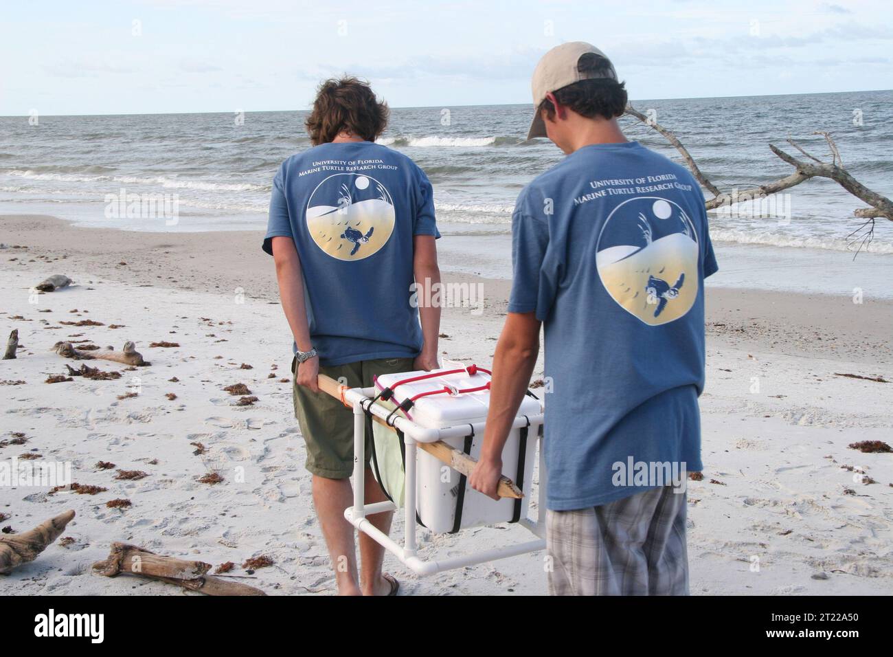 Port St. Joe, FL: Seth Farris and Jacob Hill (University of Florida ...