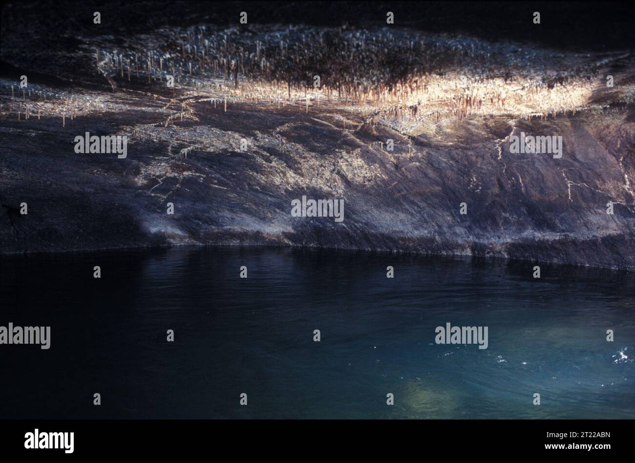Interior shot of Logan Cave on Logan Cave National Wildlife Refuge with ...