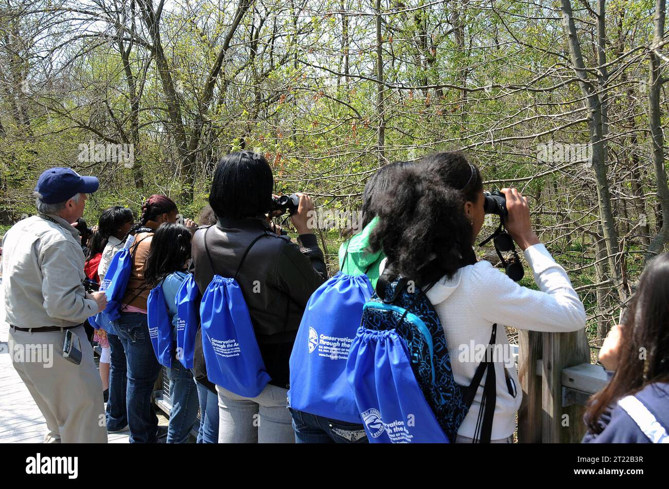 Children observe local bird species during a guided birdwatching tour ...