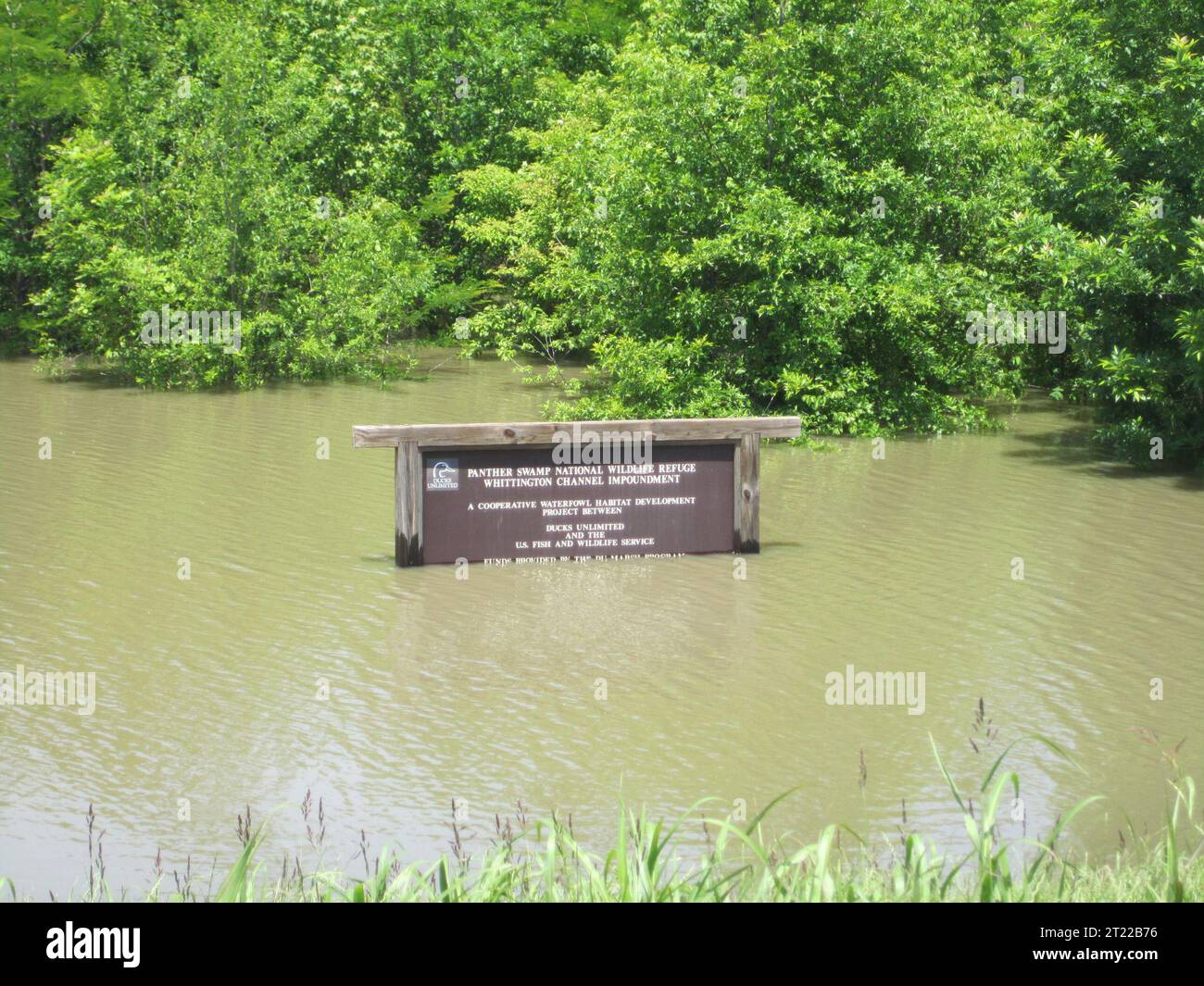 The rising waters are depicted in these two photos of a Ducks Unlimited ...