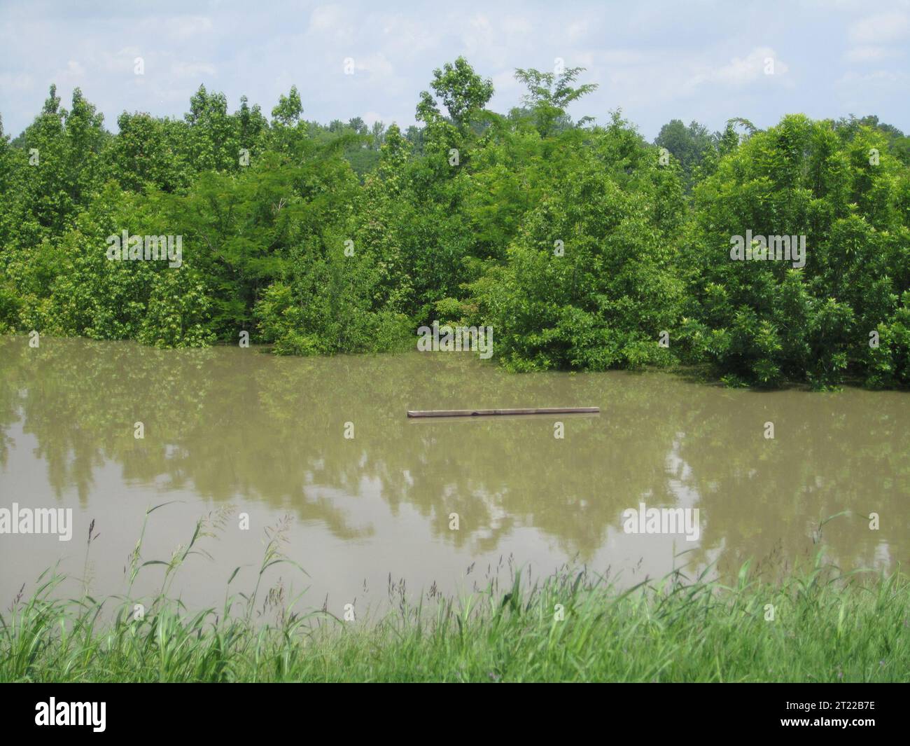 This photo taken of the Ducks Unlimited sign at Panther Swamp was taken ...