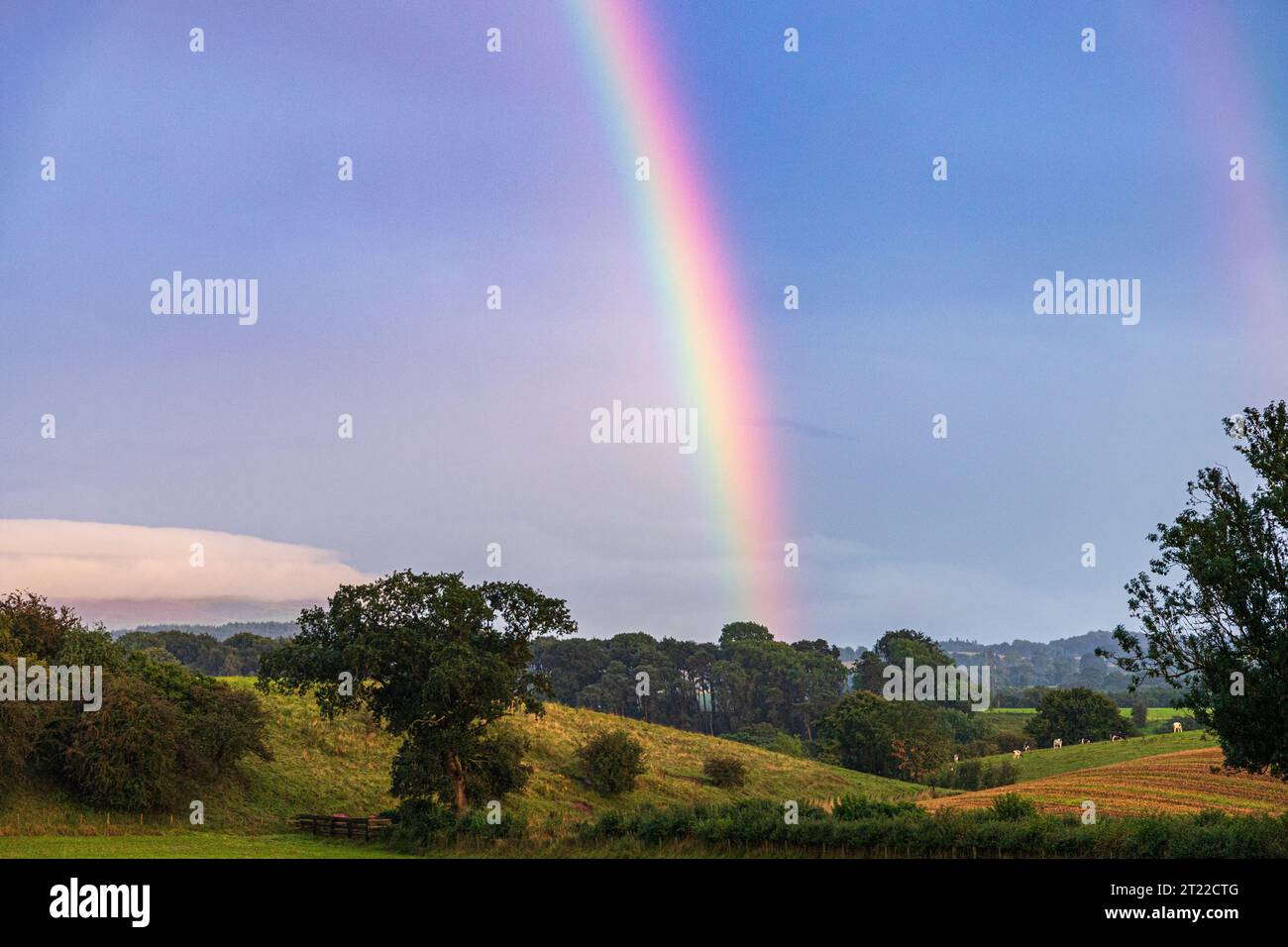 Rainbow coloured colored colours colors colour color hi-res stock ...