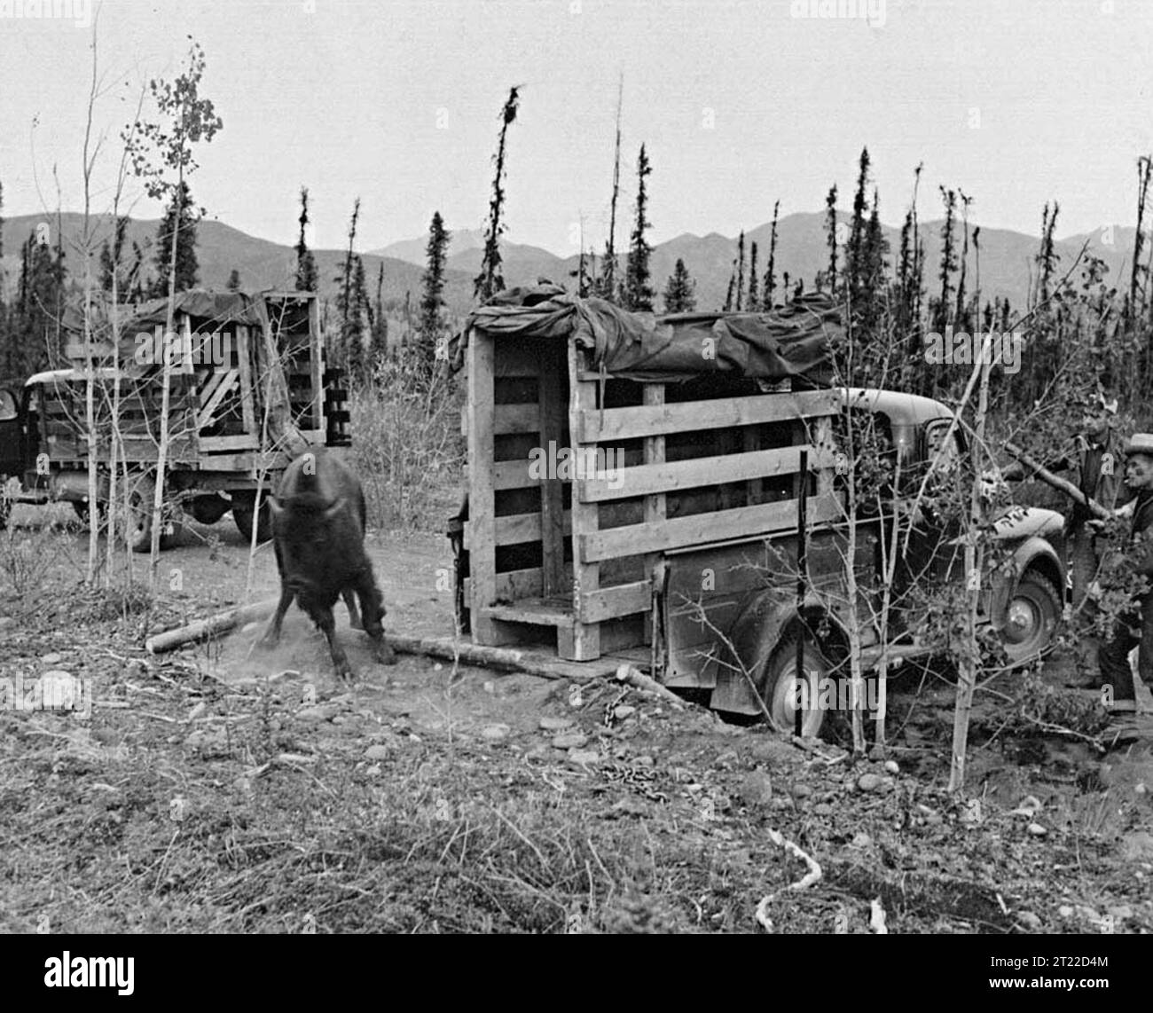 Delta management Black and White Stock Photos & Images - Alamy