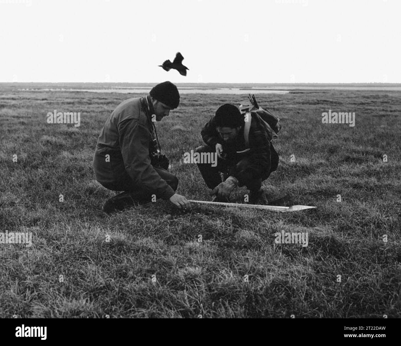 Ecosystem monitoring alaska Black and White Stock Photos & Images - Alamy