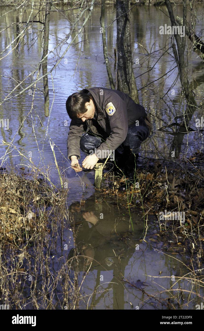 Refuge habitat enhancement hi-res stock photography and images - Alamy
