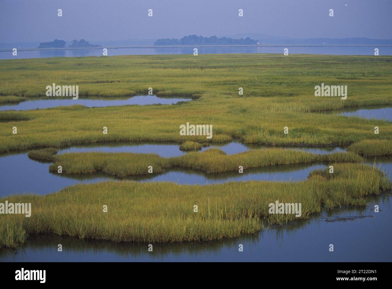 Coastal wetlands at Parker River National Wildlife Refuge, MA. Subjects ...