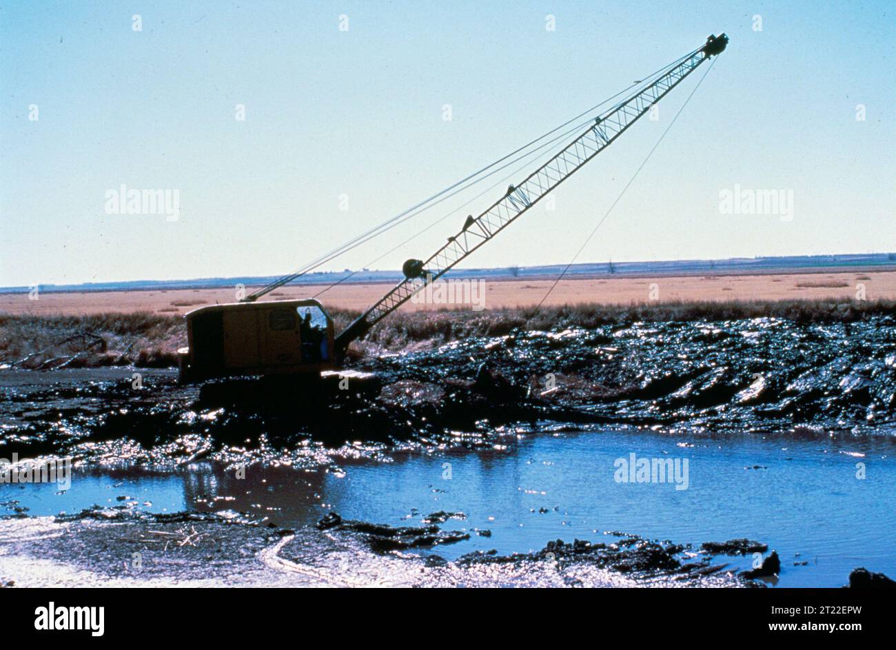 Subjects: Wetlands; Habitat restoration. . 1998 - 2011 Stock Photo - Alamy