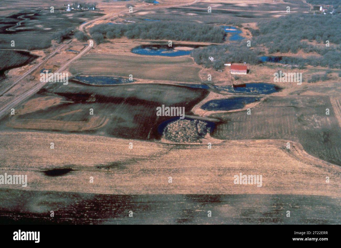 Subjects: Wetlands; Habitat restoration. . 1998 - 2011 Stock Photo - Alamy