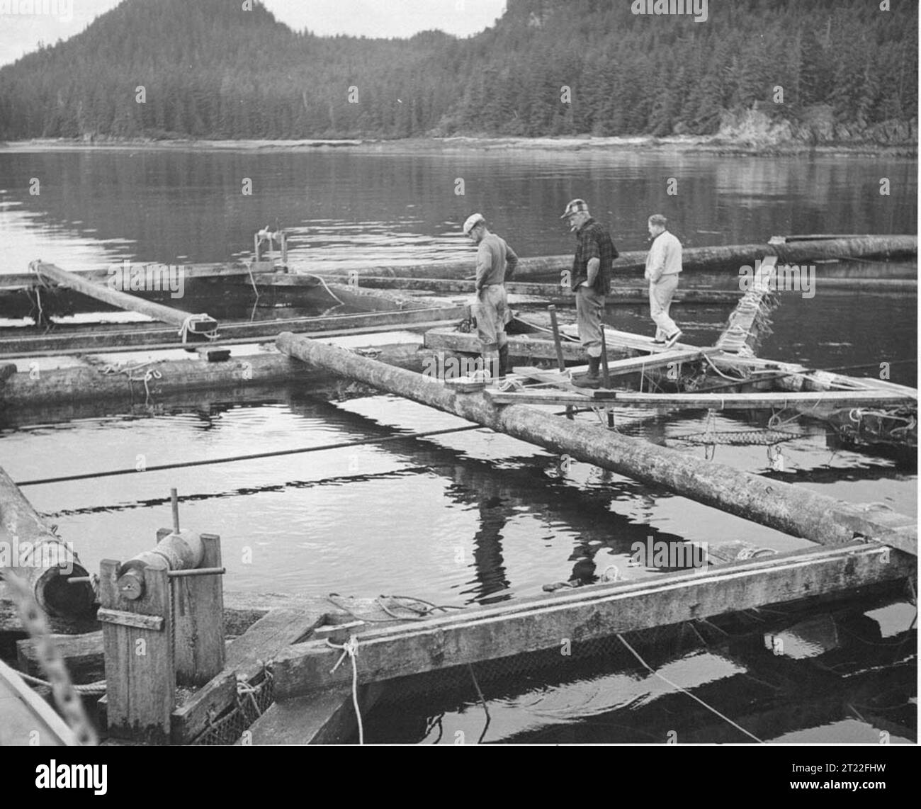 View of threee men inspecting large, wooden fish trap. Trap is ...