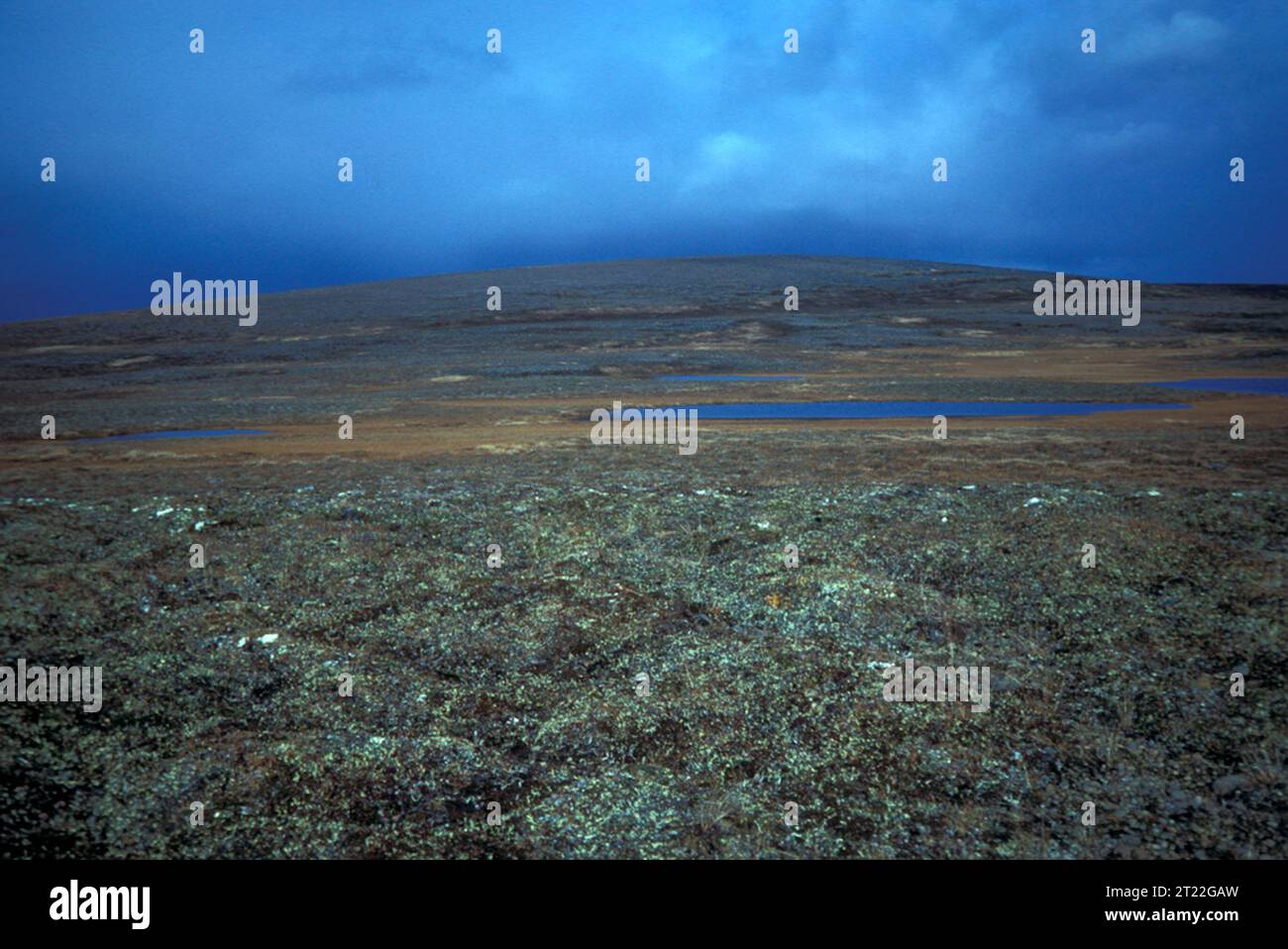 The Lake Becharof area, within Becharof National Wildlife Refuge, is ...
