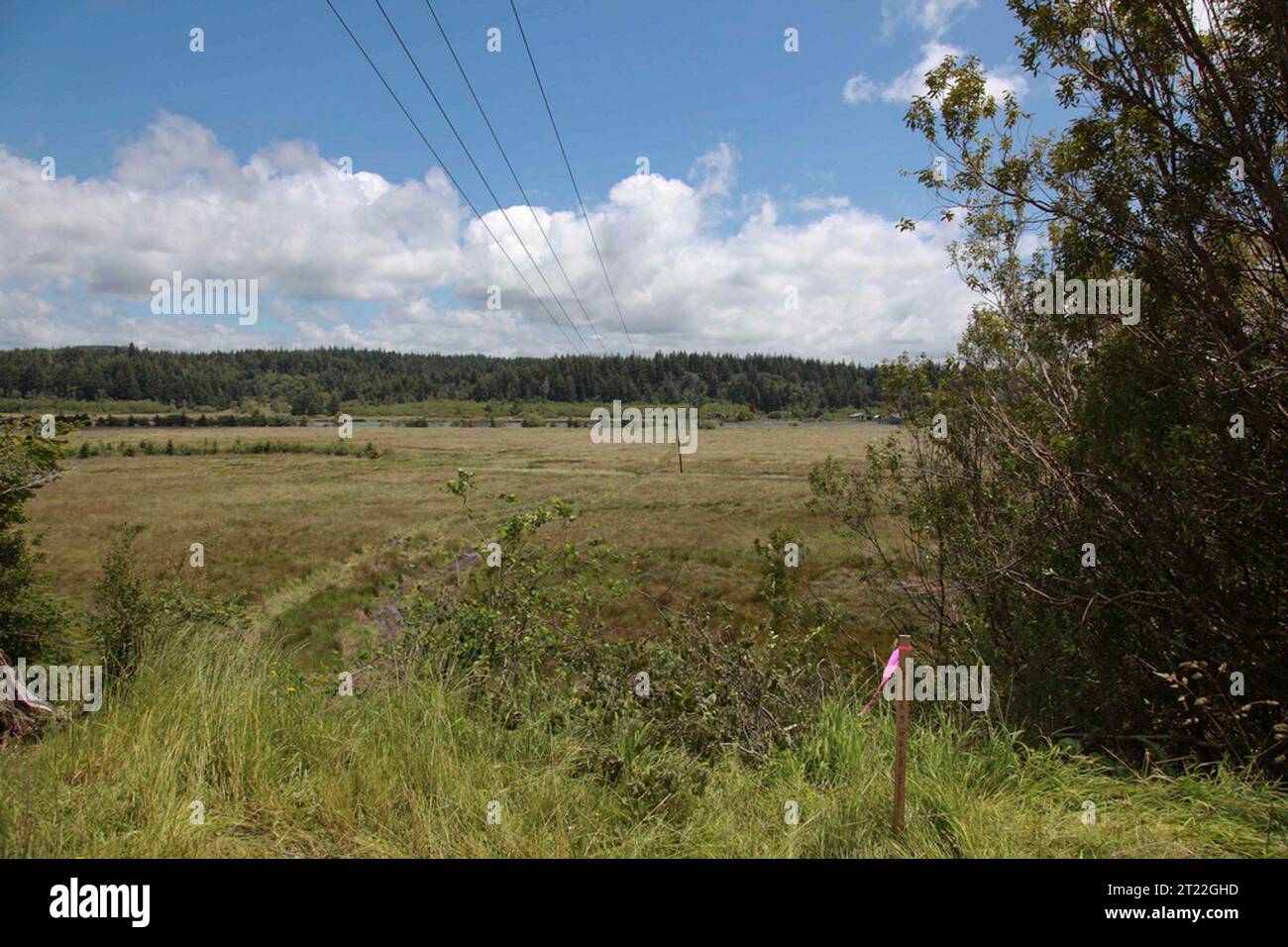 View of the existing overhead electrical transmission line through ...
