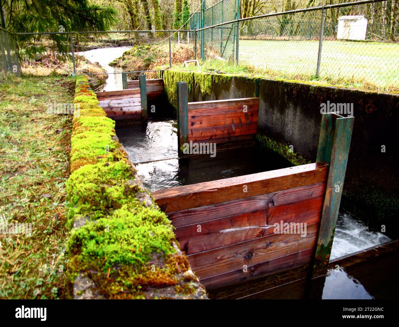 Fish ladders hi-res stock photography and images - Alamy