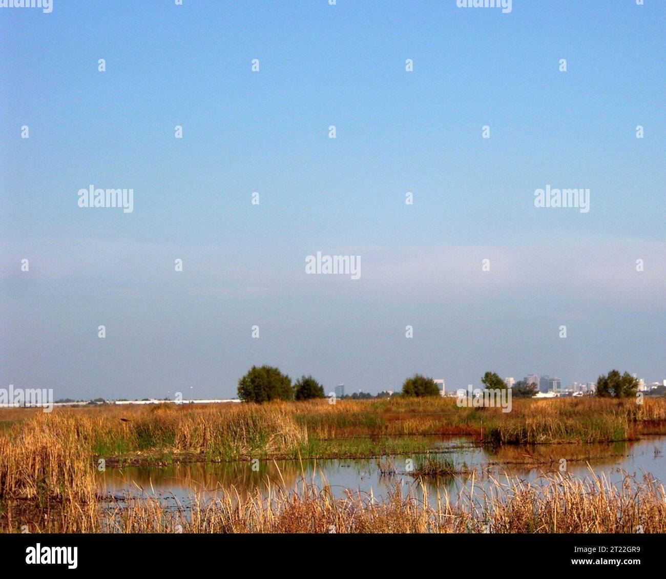 The Yolo Bypass wildlife area is located between Davis and Sacramento ...