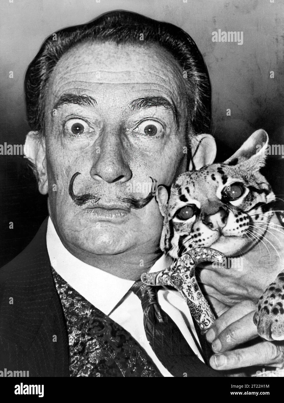 Salvatore Dali, head and shoulders portrait with his pet ocelot, Babou ...