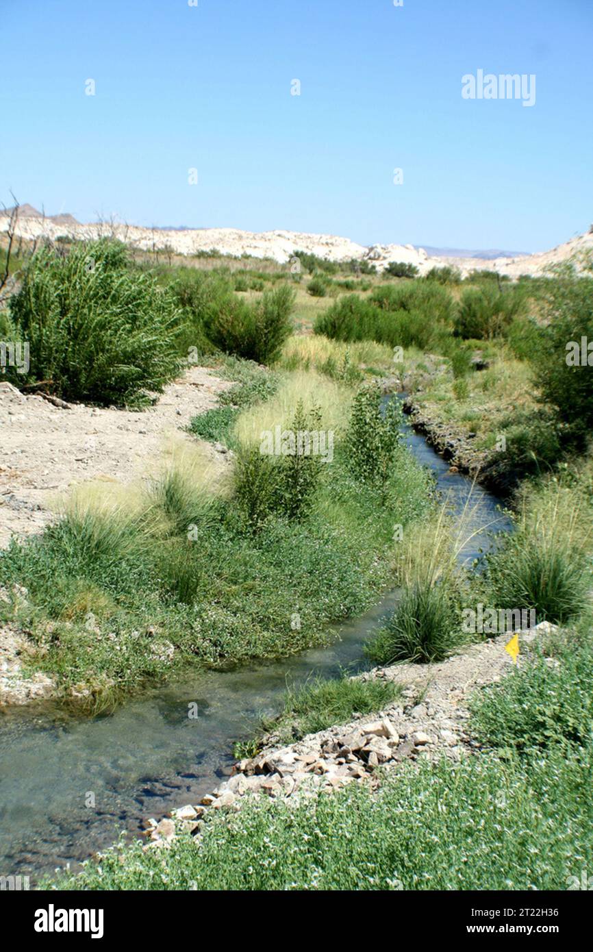 Spring Outflow Restoration at Ash Meadows National Wildlife Refuge ...