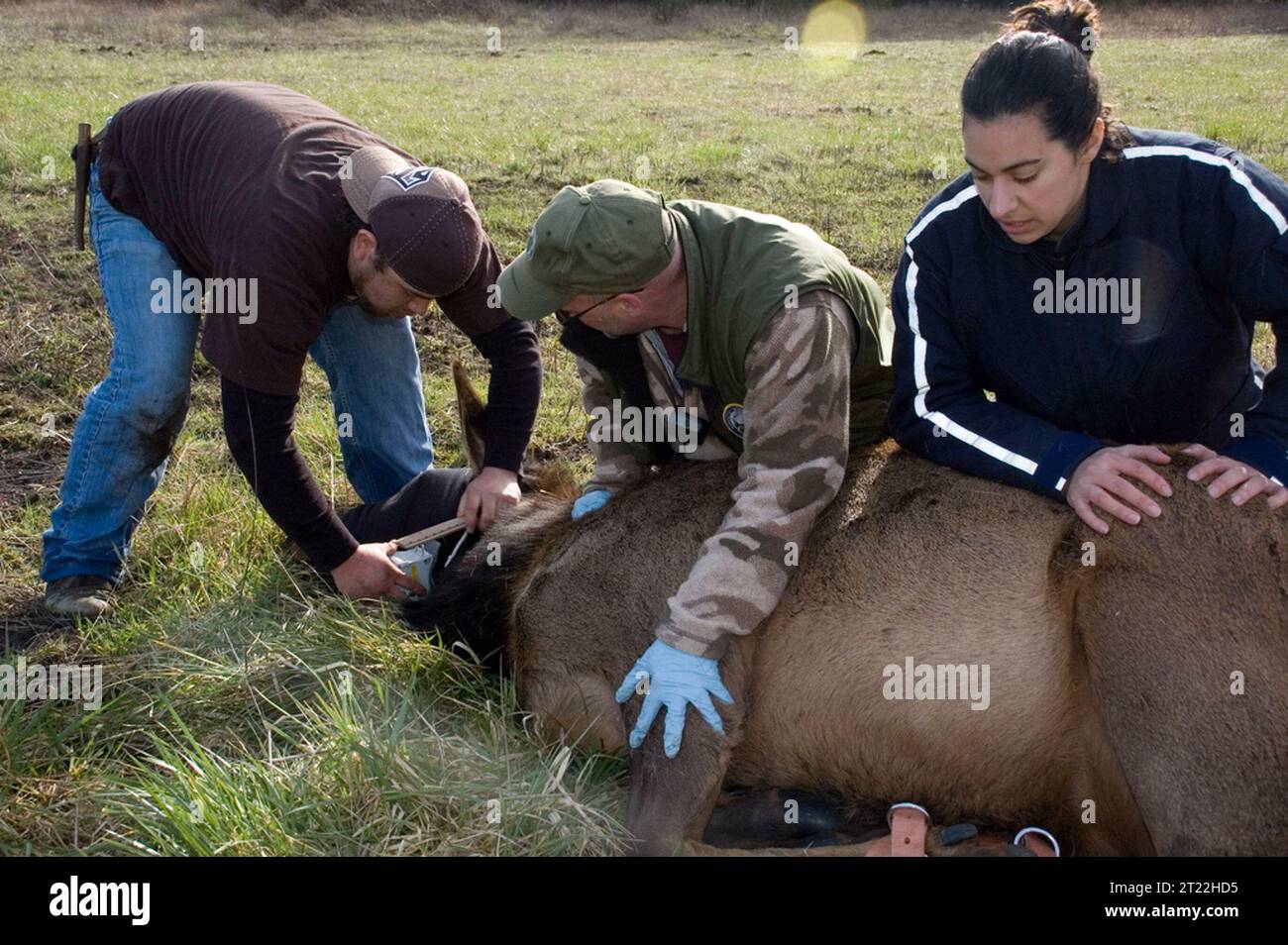Tribal wildlife grant hi-res stock photography and images - Alamy