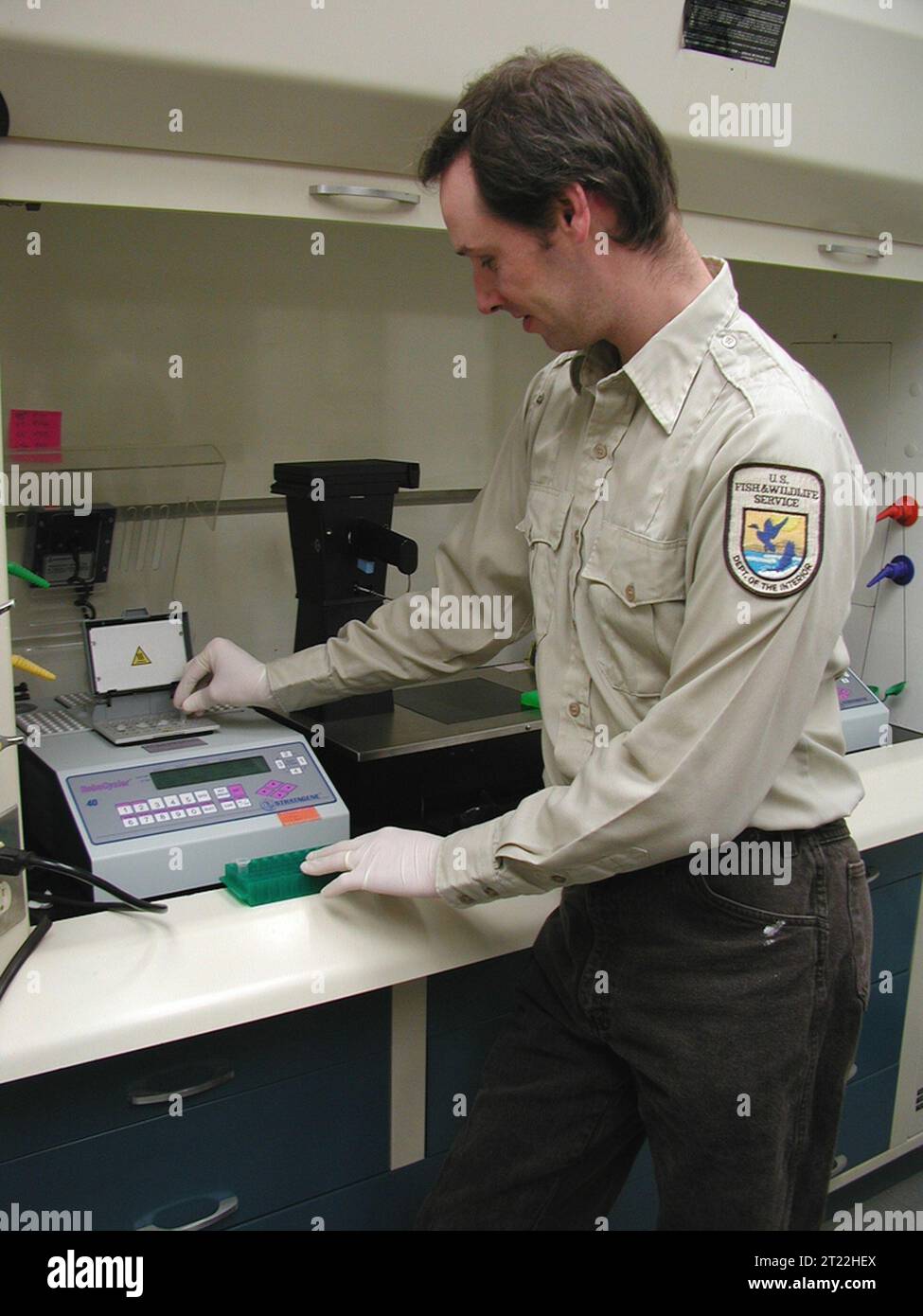 Fish analysis genetics hi-res stock photography and images - Alamy