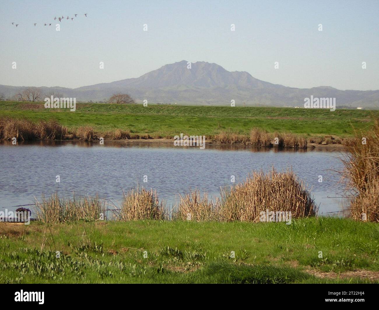 The California Coastal Conservancy was awarded $1 million to help ...