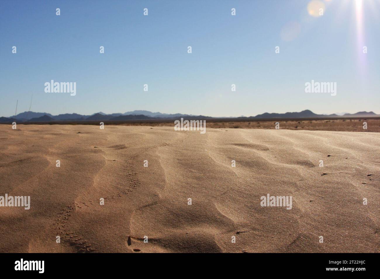 Image of the desert landscape on the Cabeza Prieta National Wildlife ...