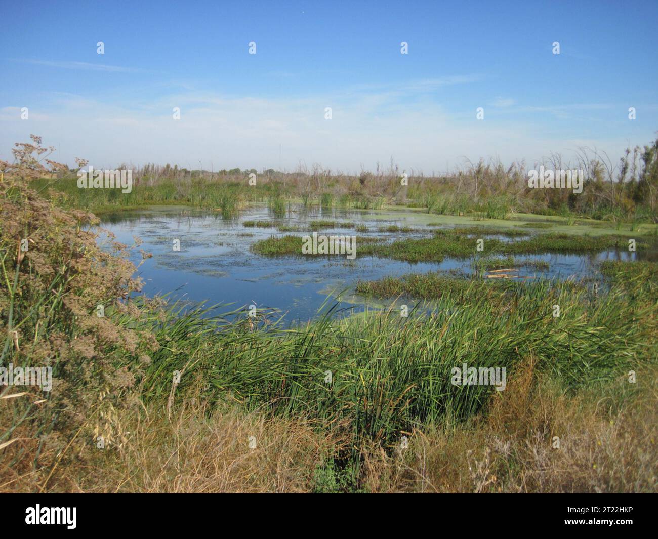 Prospect Island in the Sacramento-San Joaquin Delta, California. The ...