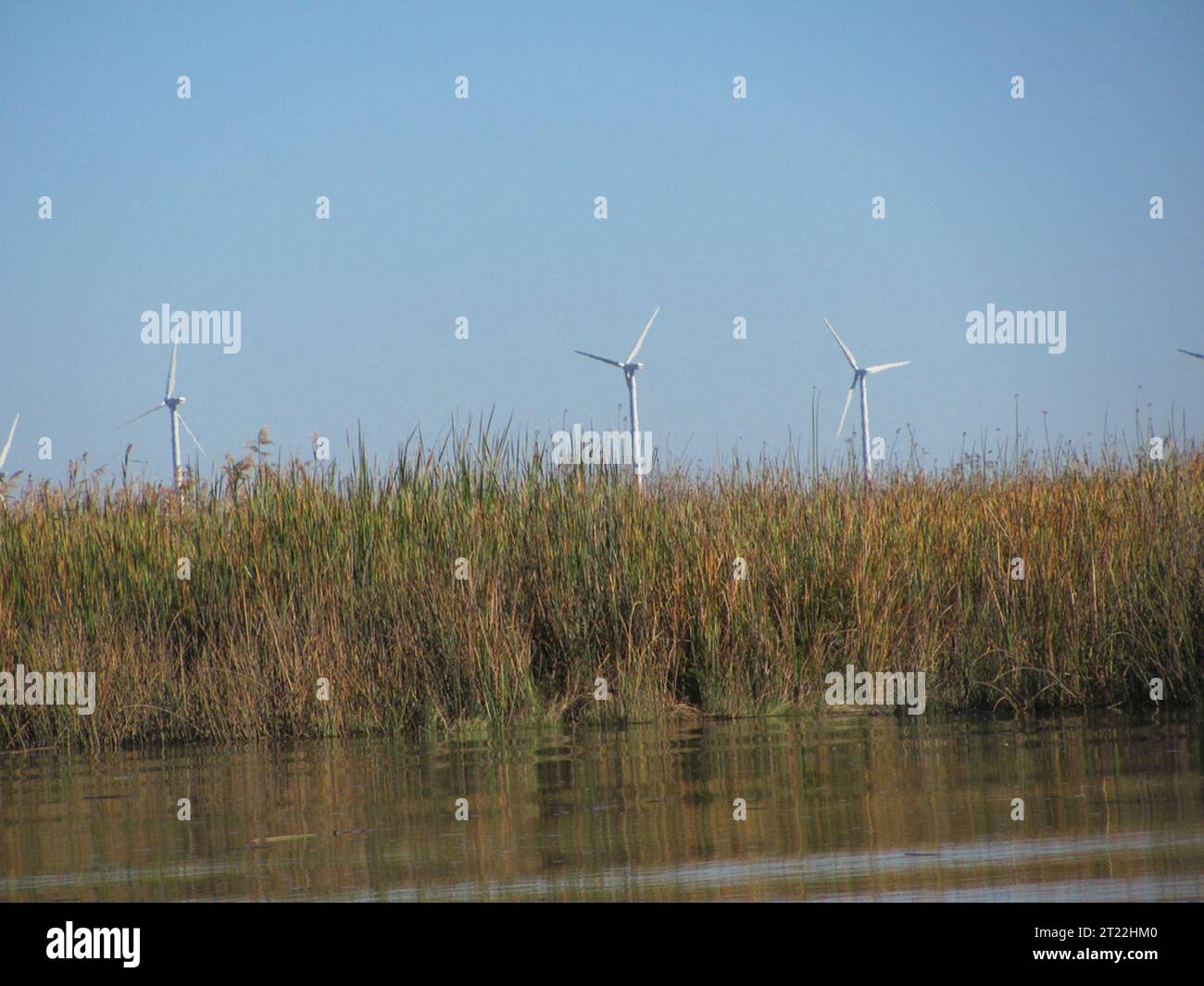 View of wind turbines over riparian grasses on the Sacramento River ...