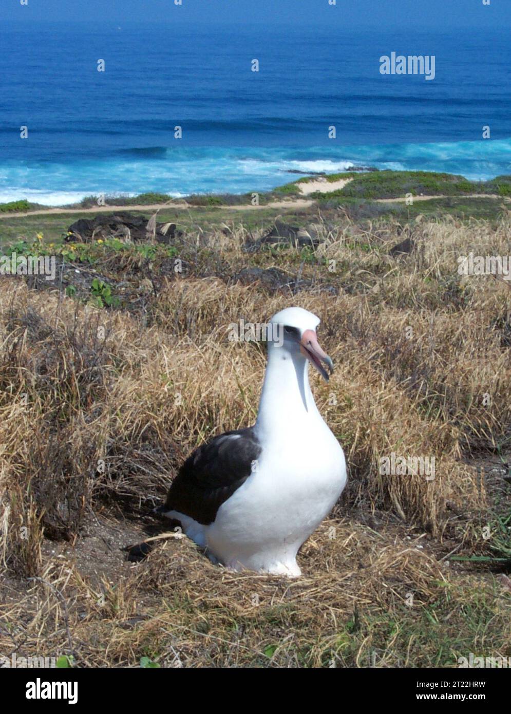 USFWS Coastal Program in Hawaii worked with partners to construct a ...