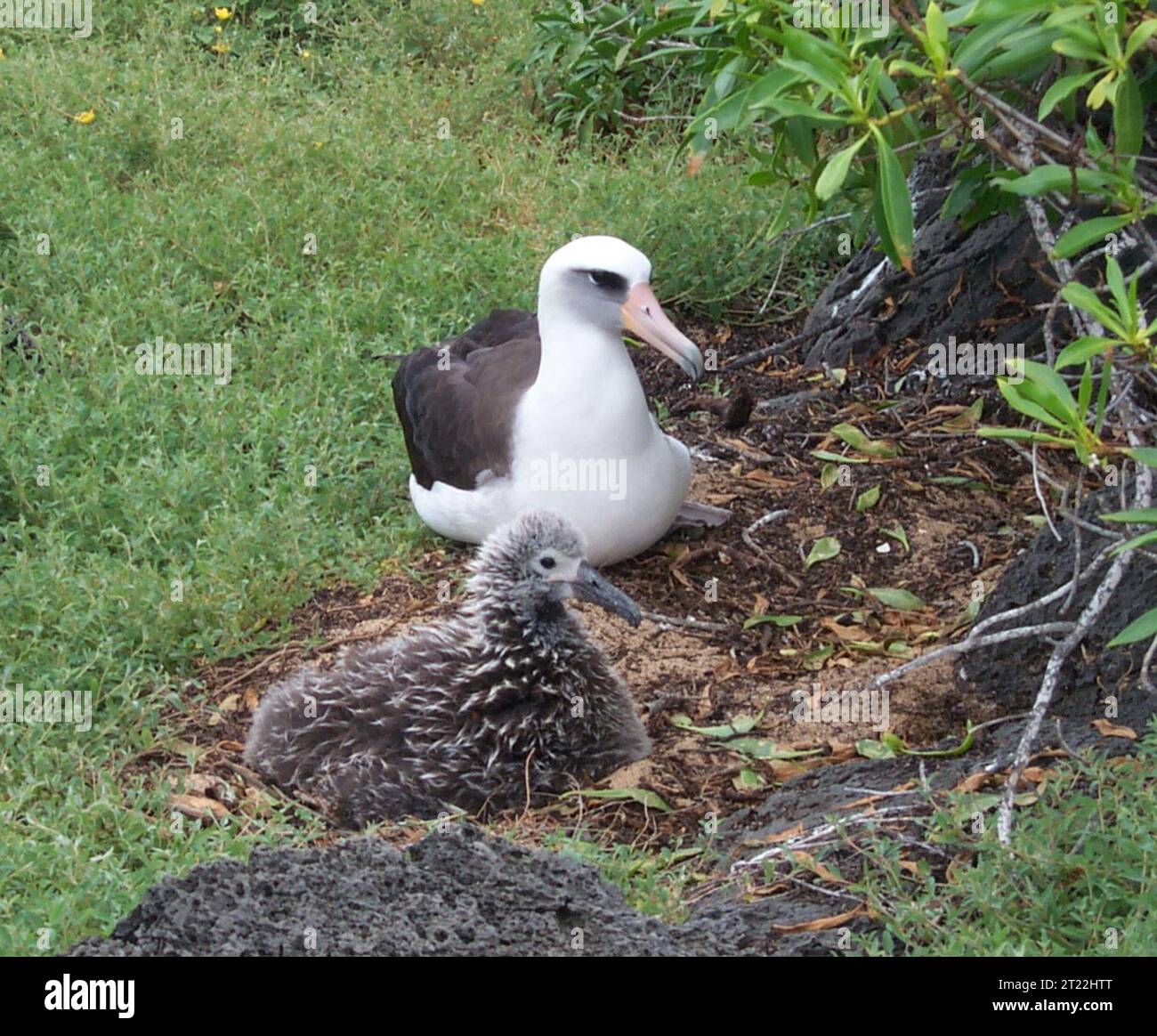 USFWS Coastal Program in Hawaii worked with partners to construct a ...