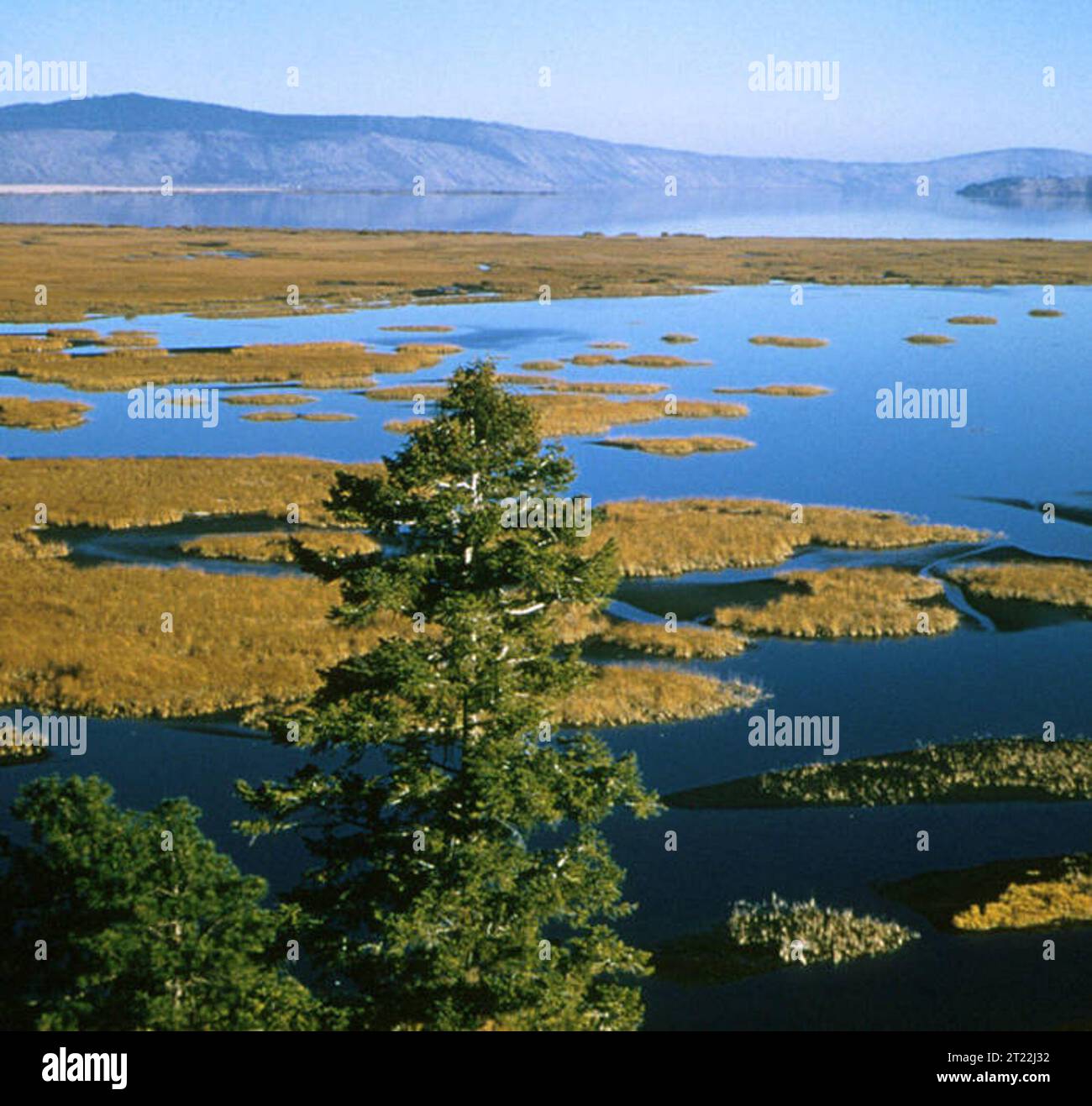 Wilderness refuges and parks hi-res stock photography and images - Alamy