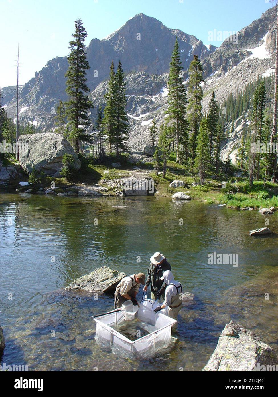 Fish biologists with Colorado Division of Wildlife and the USFWS's ...