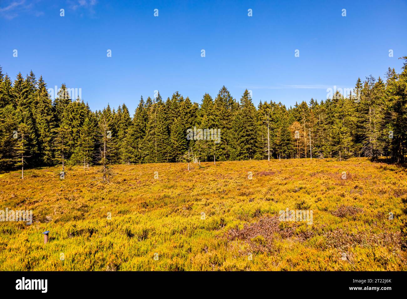 Autumn cycle tour on the high trail of the Thuringian Forest via ...