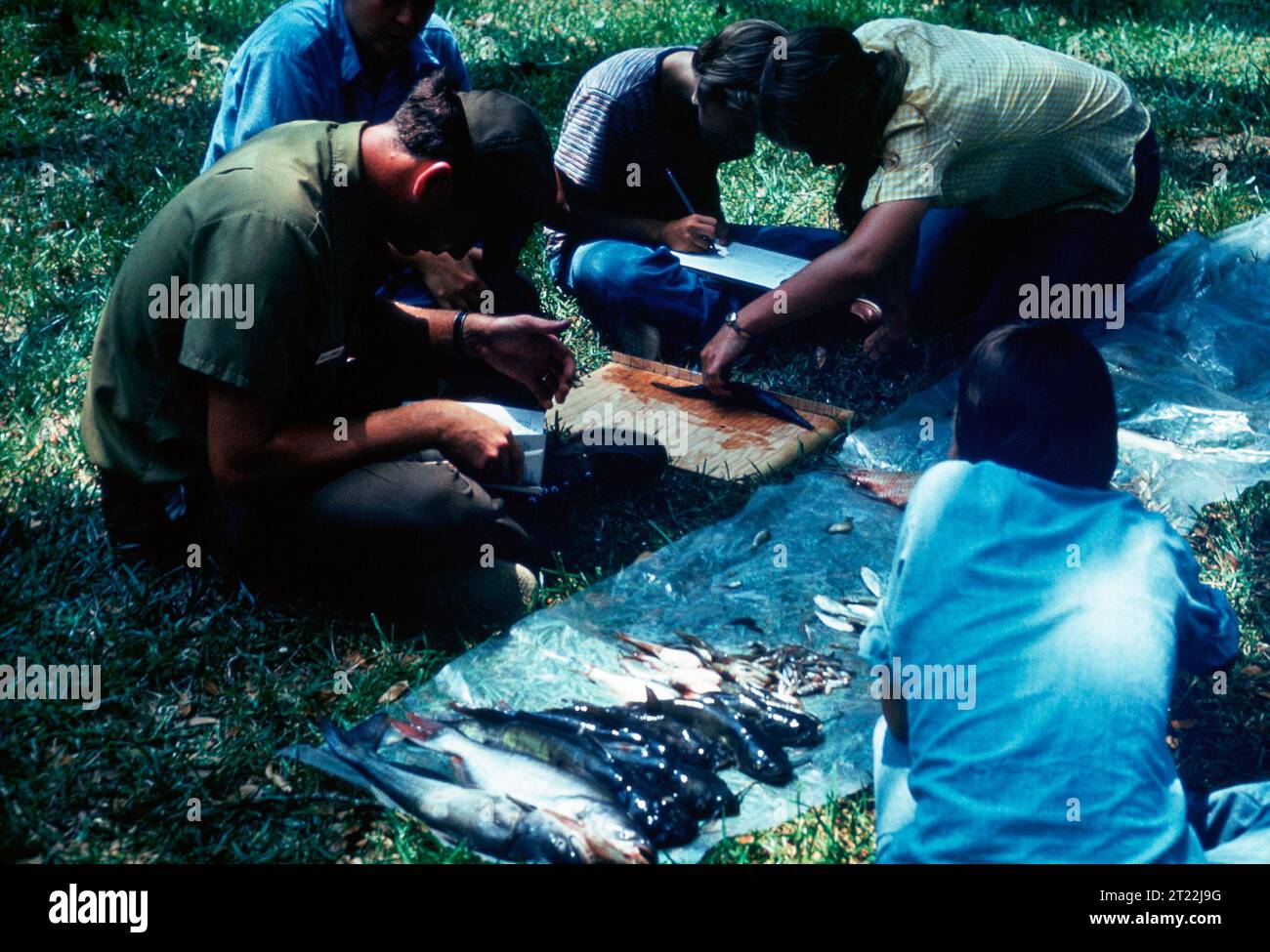Creator: Brown, Bobby. Subjects: Habitat restoration; Research ...