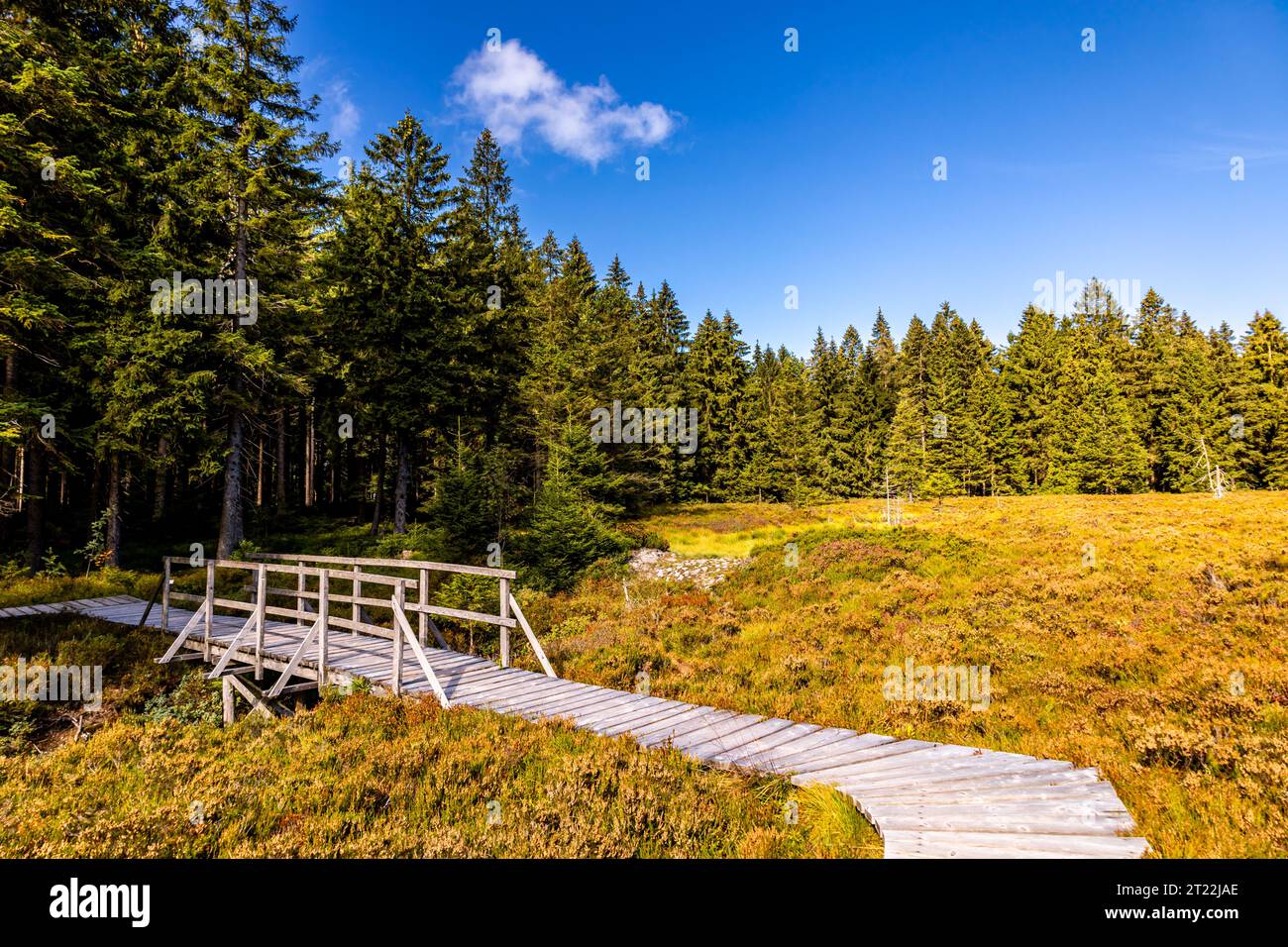 Autumn cycle tour on the high trail of the Thuringian Forest via ...