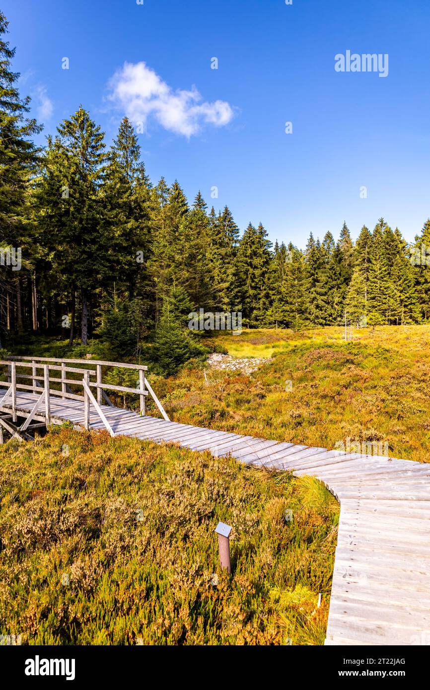 Autumn cycle tour on the high trail of the Thuringian Forest via ...
