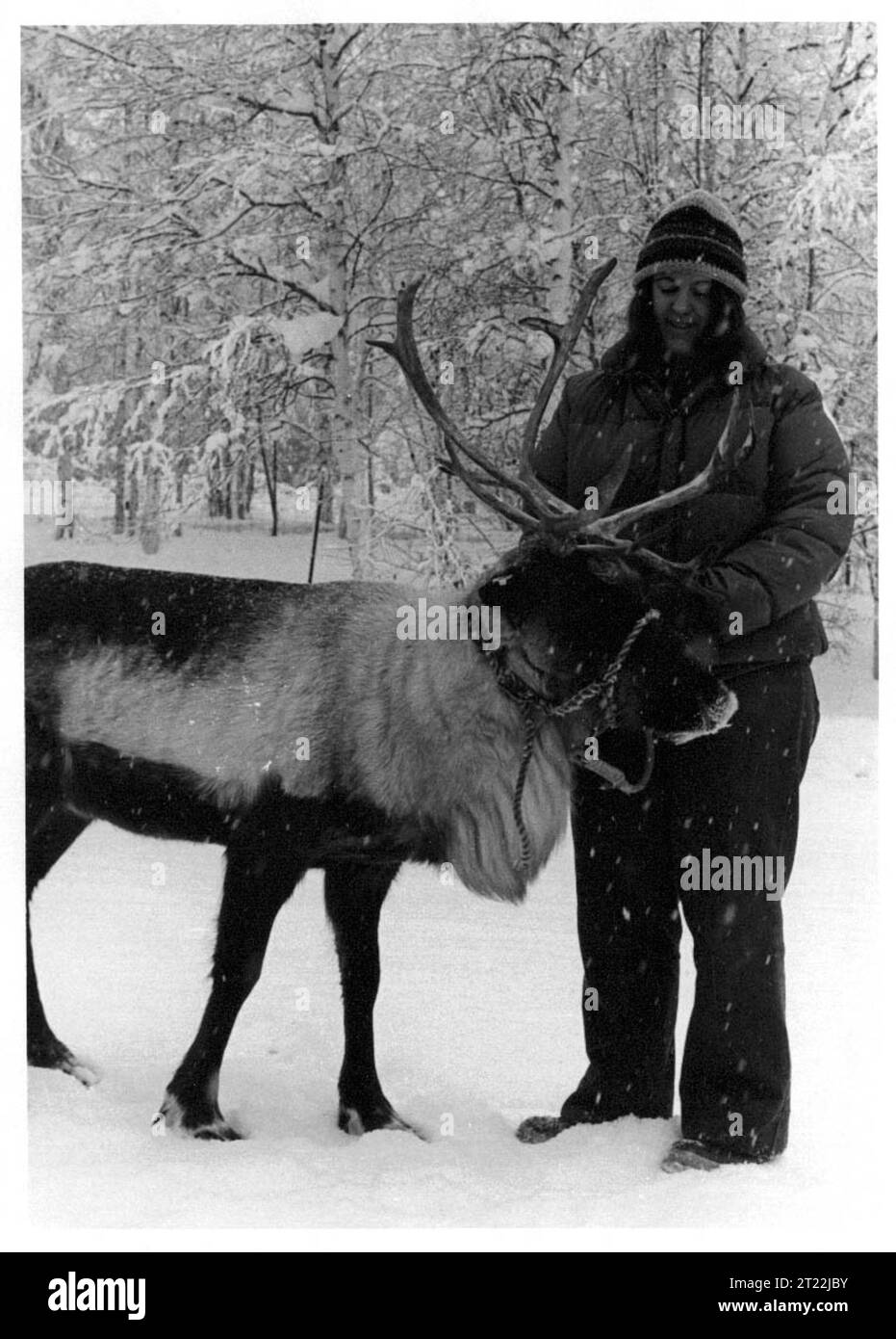 Yacc hi-res stock photography and images - Alamy