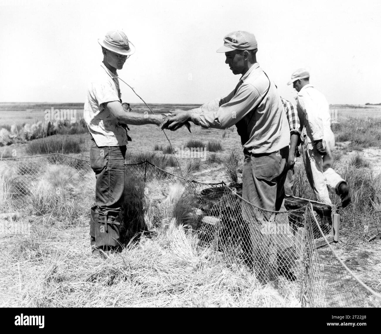 Historical Waterfowl Survey. Creator: Schmidt, Rex Gary. Descriptive ...