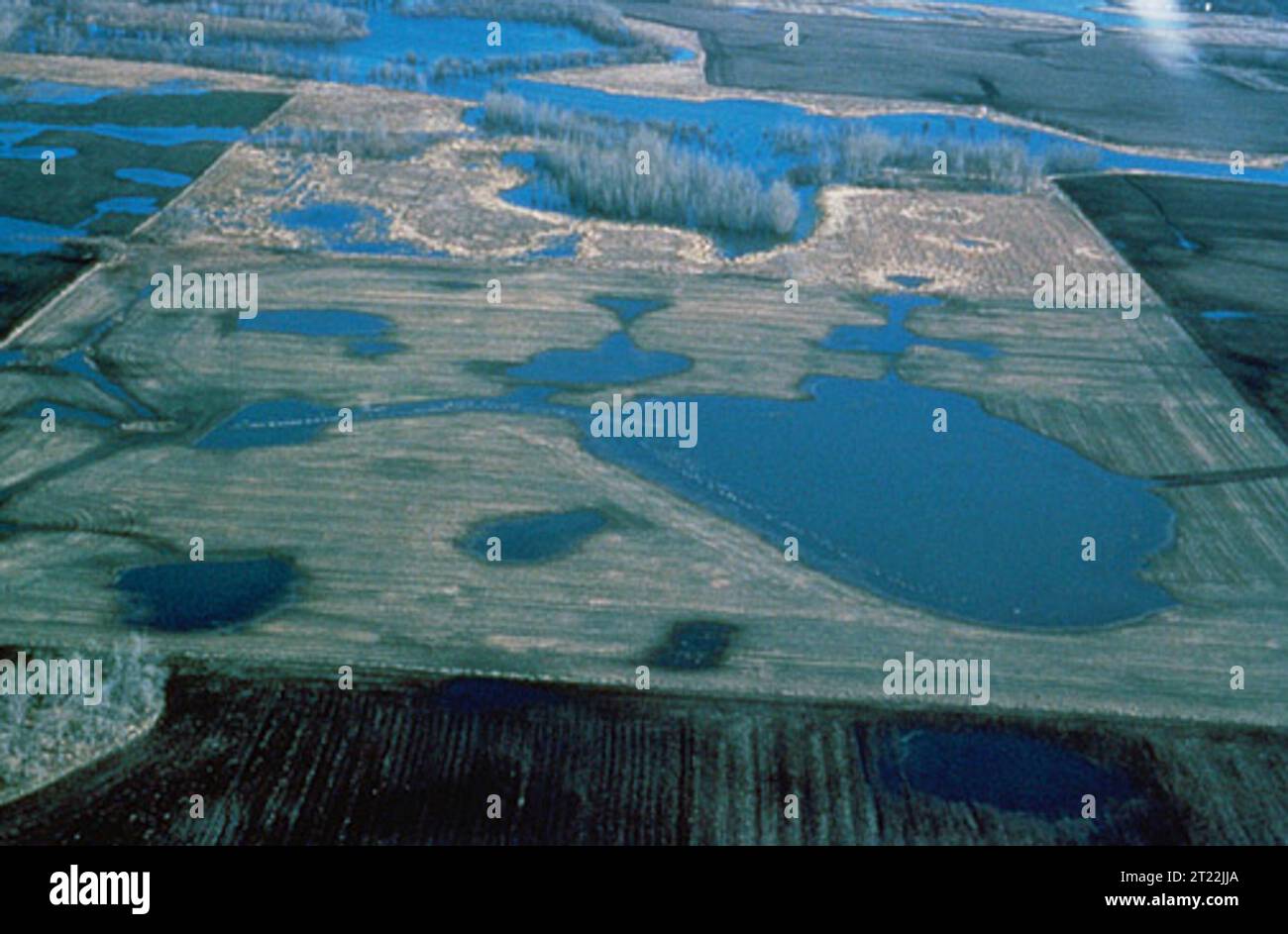 A wetland area featuring prairie potholes, vital ecosystems for ...