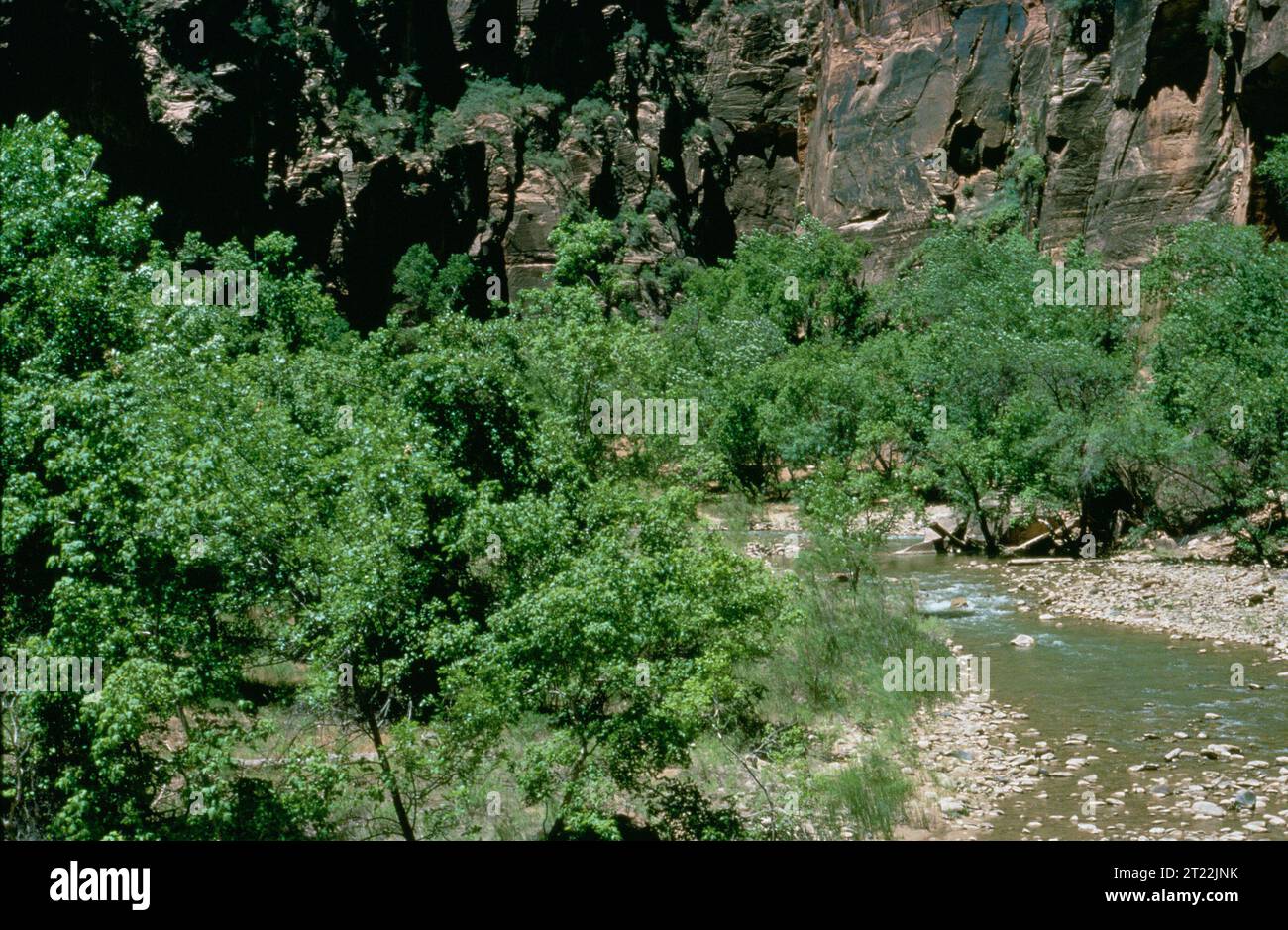 Habitat; Places. Subjects: Scenics; Parks; Rivers and streams; Rivers ...