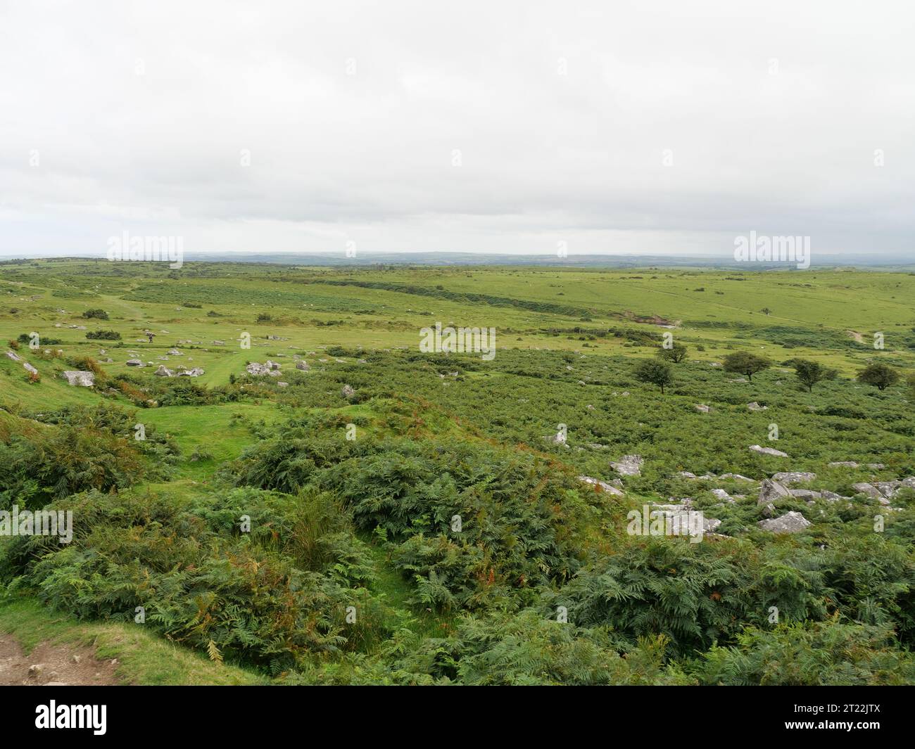 View into the wide moorland landscape from the cheese press Cheese ...