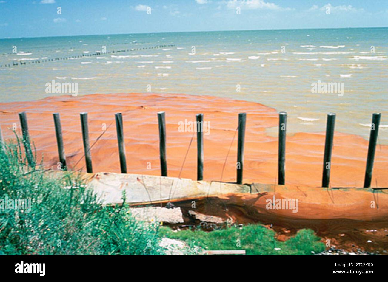 An oil spill in Trinity Bay caused contamination of coastal waters and ...