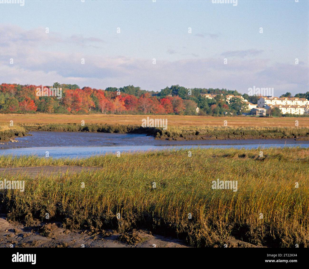 Rachel carson national wildlife refuge hi-res stock photography and ...