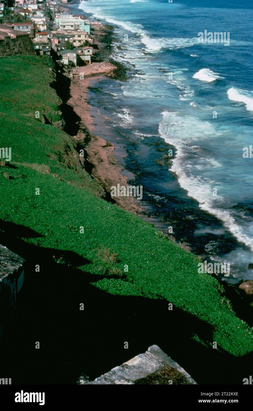 An oiled coastline in San Juan showing the effects of an oil spill on ...