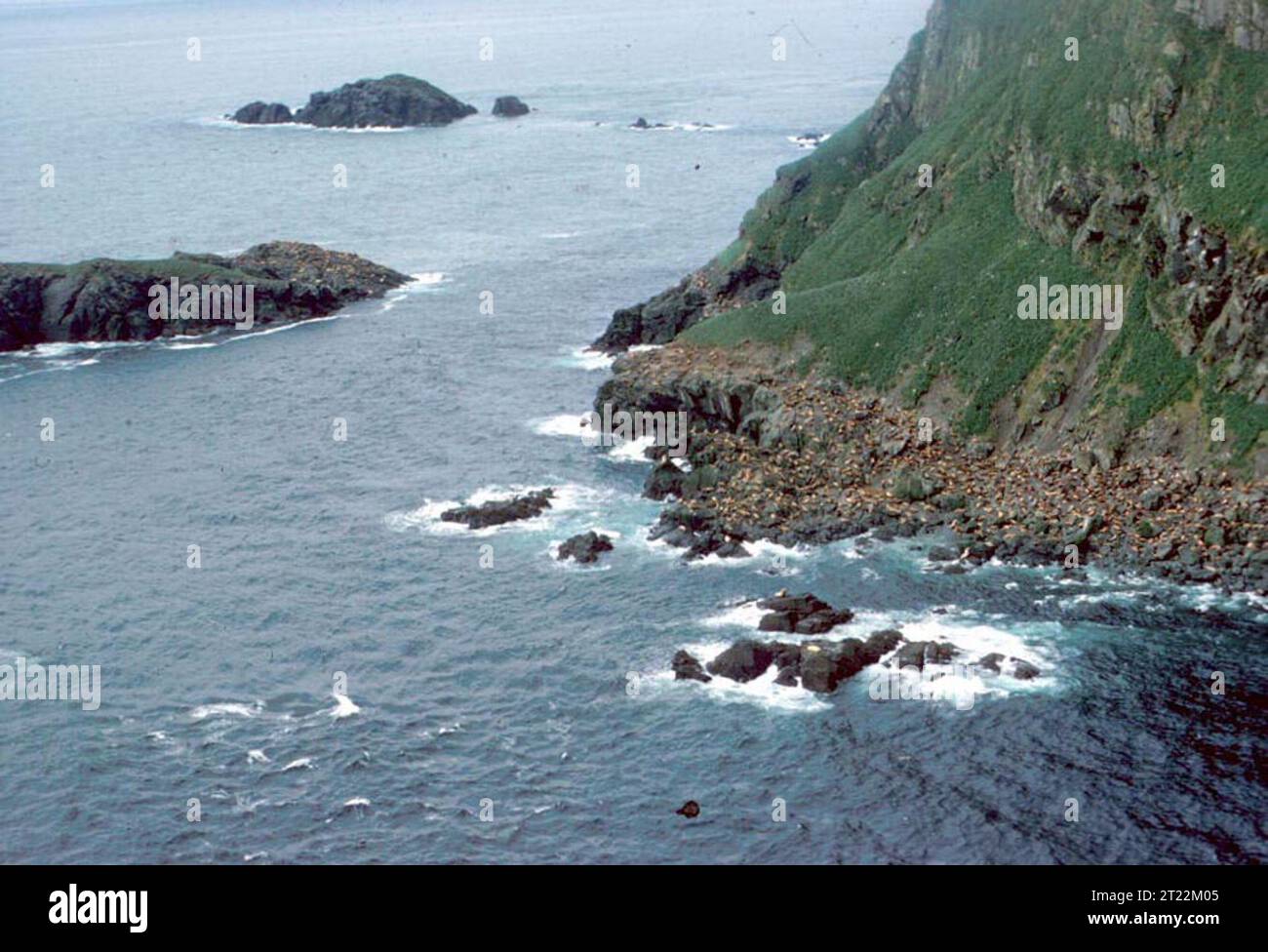 Creator: Cline, David. Subjects: Marine mammals; pinniped; Wildlife ...