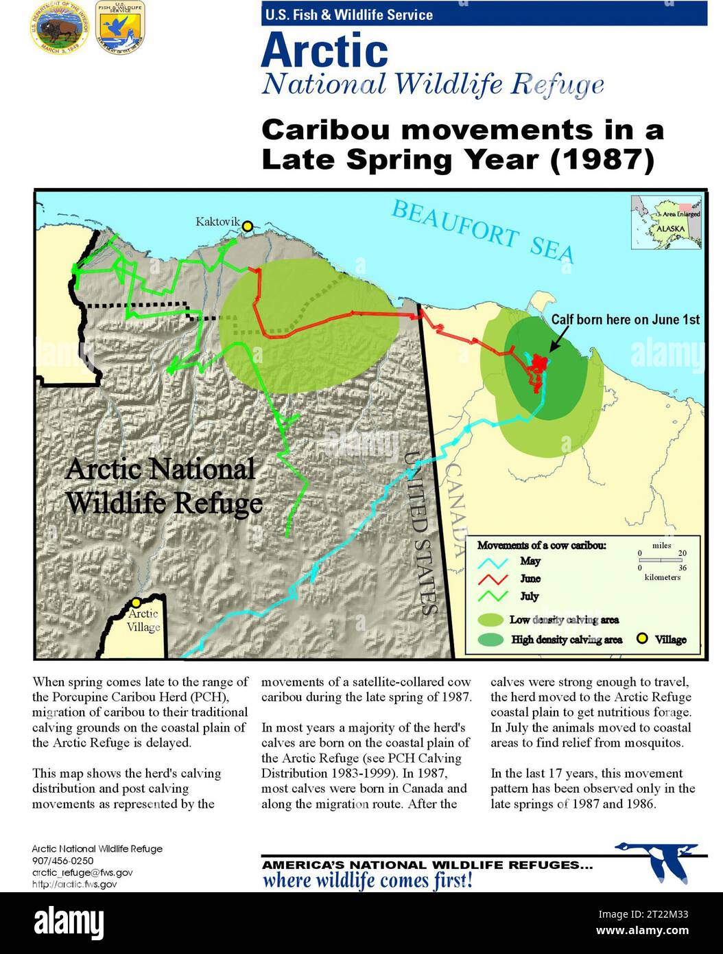 Map showing caribou calving location outside of the Arctic Refuge 1002 ...
